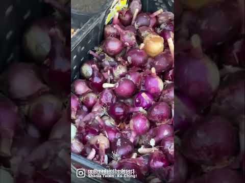Come with us to Sacramento’s Midtown Farmer’s Market.
