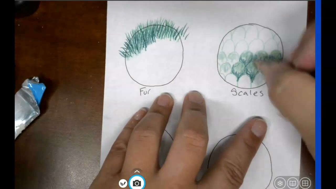 Implied texture practice