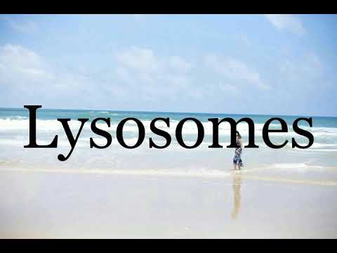 How To Pronounce Lysosomes🌈🌈🌈🌈🌈🌈Pronunciation Of Lysosomes