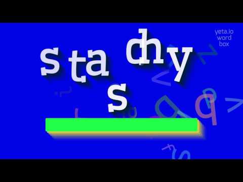 How to say "stachys"! (High Quality Voices)
