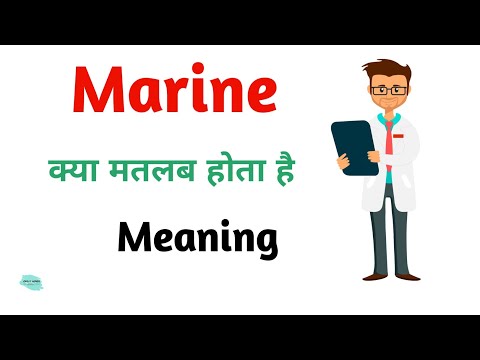 Marine meaning in hindi | Marine Ka Kya Matlab hota hai | Daily use English words