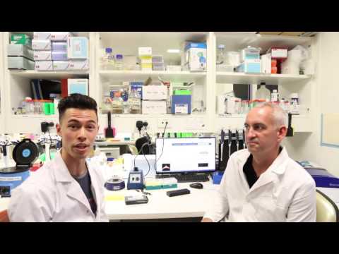 MyTaq™ DNA Polymerases Review