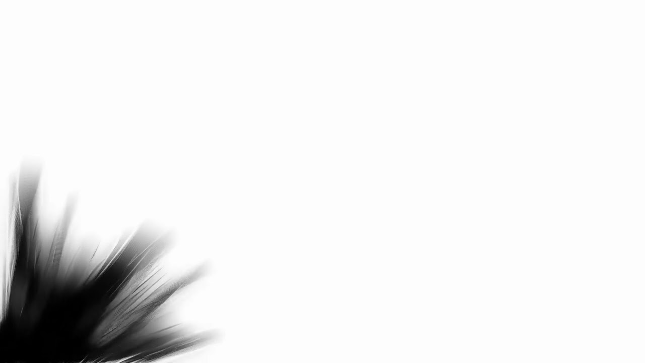 Black Brush Stroke Reveal Mortise HD | By Creator Stockify
