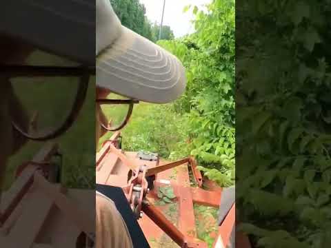 Bush hog donβt give a shit! #pasturepoultry #familyfarm