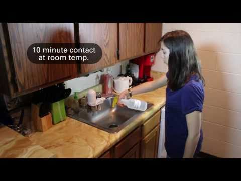 Sanitizing the Kitchen