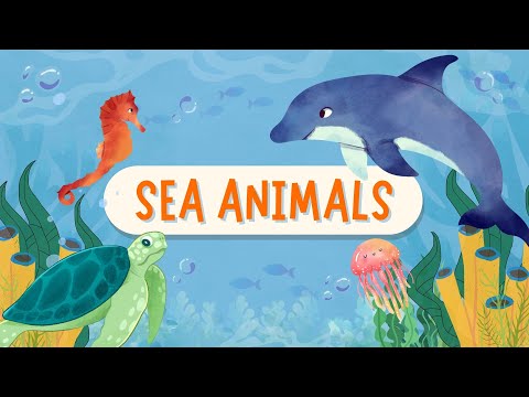 SEA ANIMAL SONG AND VOCABULARY FOR KIDS | Ocean Animals | Fun English Educational Video
