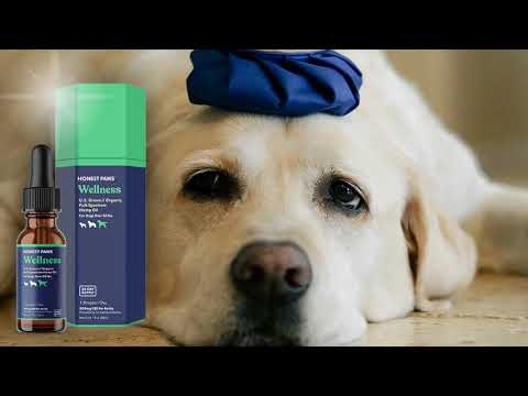 honest paws hemp oil