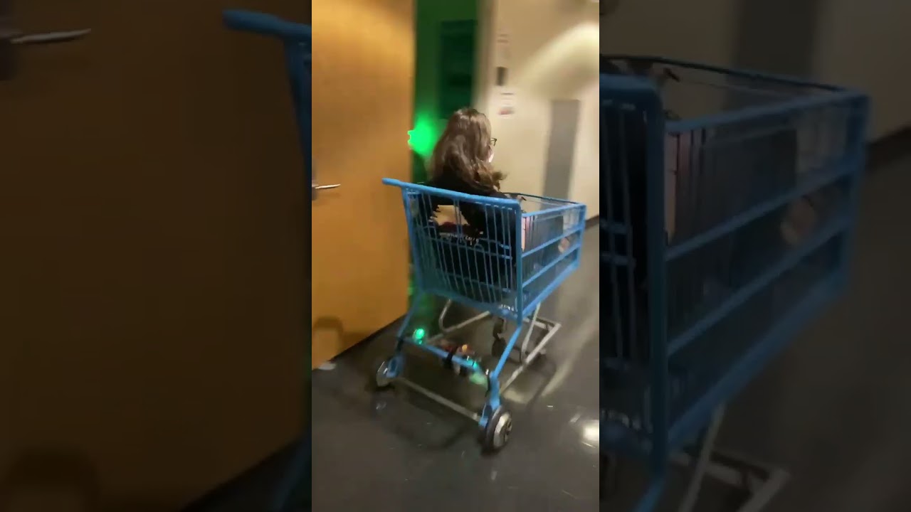 Exploring the Motorized Shopping Cart: An Initial Test Review | Galaxy.ai