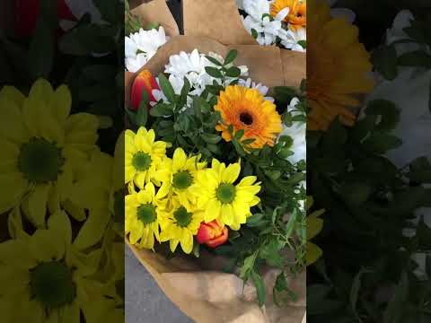 Shopping small and local at the farmers market in Prague Czech Republic #expat #teflteacher 🐶treats