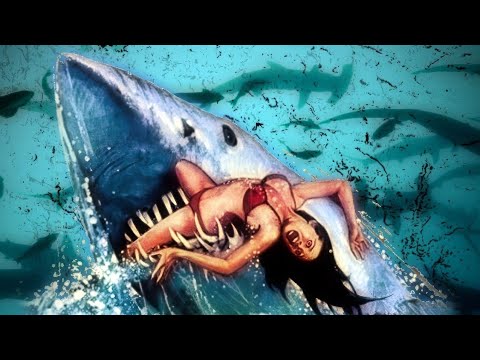 Tintorera Killer Shark [1977] Tiger Sharks Screen Time