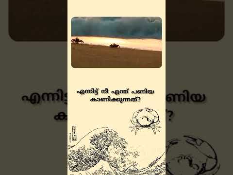 story | Malayalam