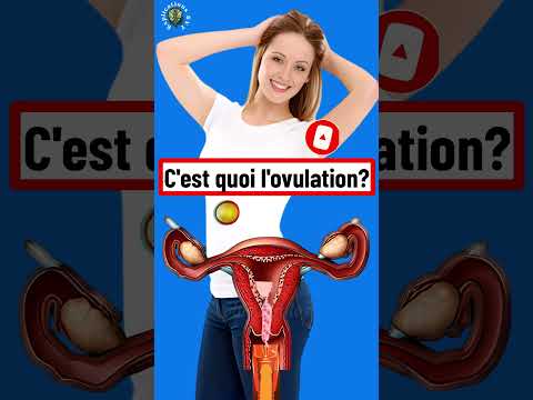 Human Fertility: What is Ovulation? #ovulation #fertility #short #svt