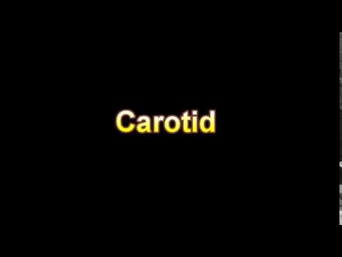 What Is The Definition Of Carotid Medical Dictionary Free Online