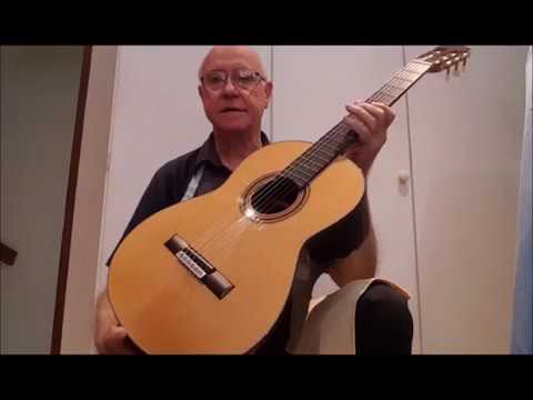 aiersi brand vintage spanish solid top classic guitar video from SA Customer