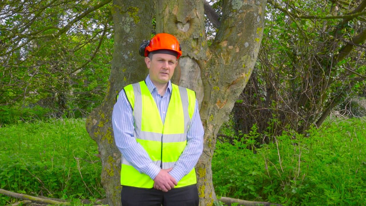 BS5837 Tree Survey for Tree Report, Arboricultural Impact Assessment and Method Statement Planning