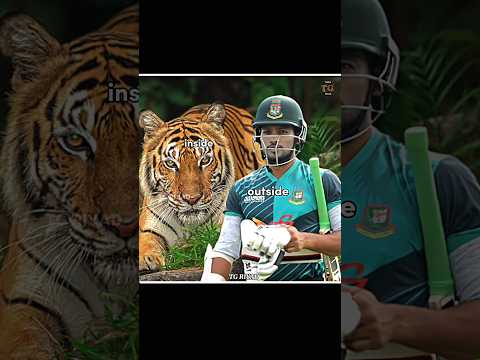 Bangladesh vs India cricket match🇮🇳🇧🇩 🥶 inside or outside | Wait for end 🤭 🏏#viral #shorts