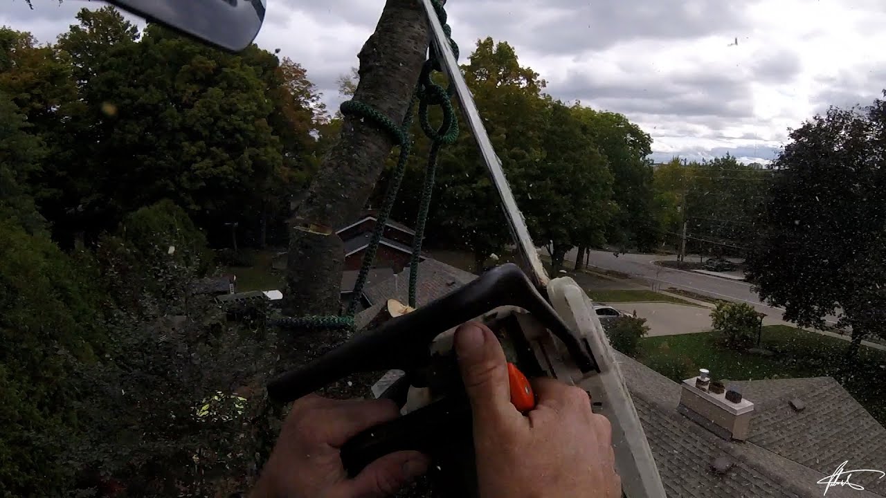 Natural crotch rigging a small top - basic concept