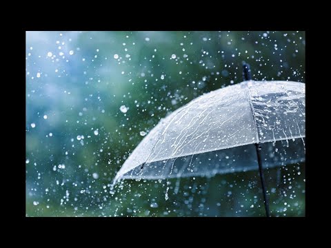 Weather IQ | What do "chance of rain" percentages mean?