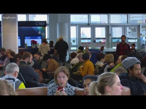 Sea-Tac announces daily visitor passes
