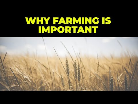 Why farming is important | #farming #foodsecurity #climatechange