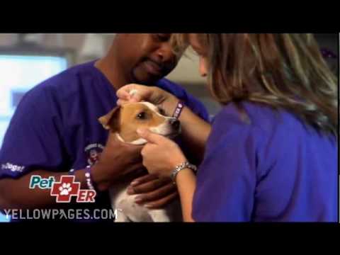 Fresno Pet Emergency 24 Hour Veterinarians
