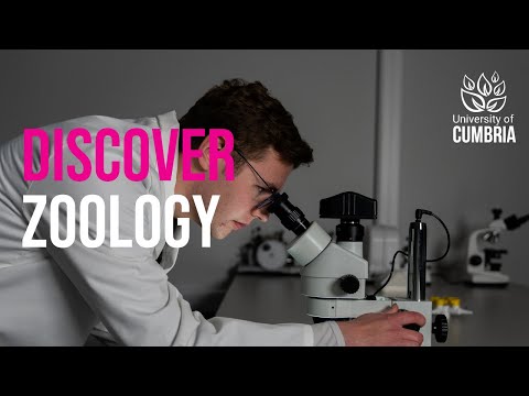 Zoology Degree | Discover Science | University of Cumbria
