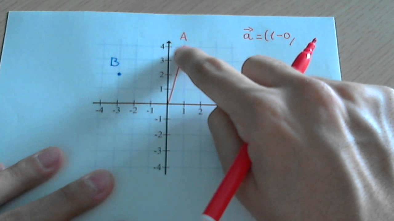 Vectores: vector posición.