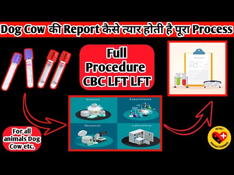 Animals blood test lab report full procedure || Dog, Cow blood test CBC LFT KFT report
