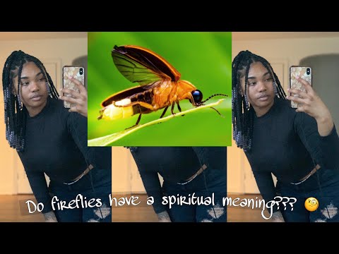 Do fireflies have a spiritual meaning???
