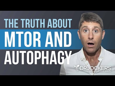 The Truth About mTOR, Autophagy and Longevity