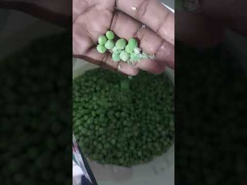 Frozen Peas - Wholesale Price & Mandi Rate for Frozen Peas in India