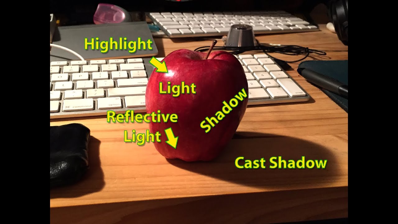 Light, Shadow, Cast Shadow, Reflective Light - Art EDU