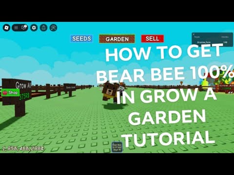 HOW TO GET BEAR BEE 100% (Tutorial Grow A Garden)