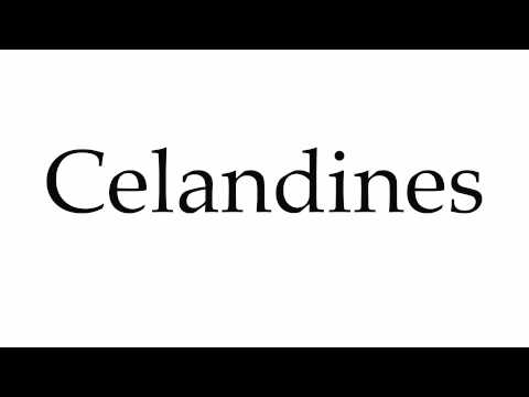 How to Pronounce Celandines
