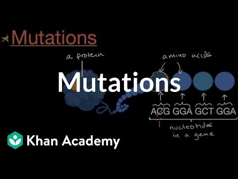 Mutations (video) | Khan Academy