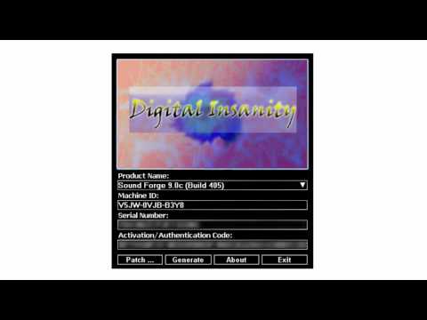 DIGITAL INSANITY KEYGEN DESCARGAR SONY VEGAS PRO 11 FREE – mehuzukoz