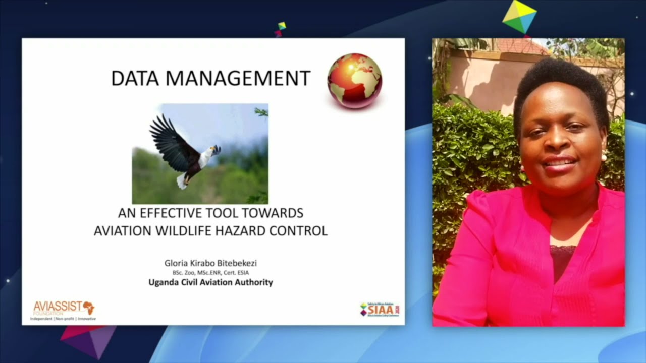 Airport wildlife data collection - Gloria Kirabo