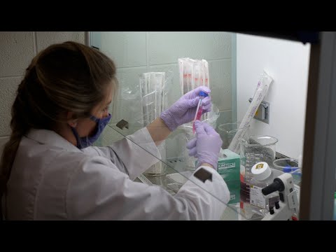 Pre-Professional Program: Pre-Medicine