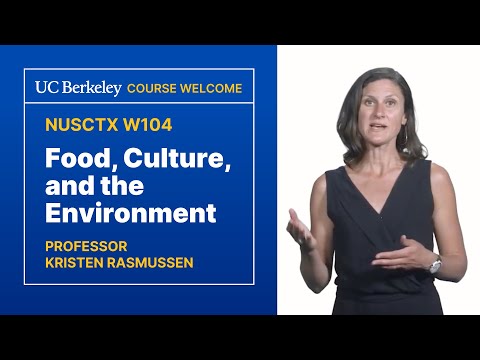 Food, Culture, and the Environment: NUSCTX W104