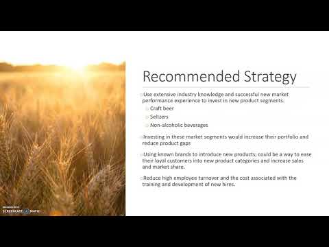 MGT 438 Strategic Audit Executive Summary Presentation