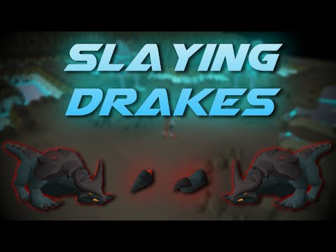 Slaying Drakes | Testing OSRS Wiki Money Making Methods