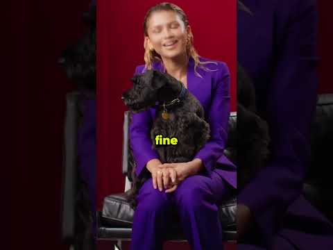 Zendaya Gets Jealous of Her Dog Noon Over Tom Holland!