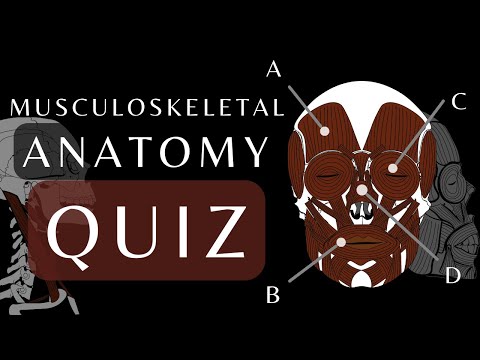 Muscles of the Head and Neck Quiz | Anatomy and Physiology #musculoskeletalsystem #humananatomy