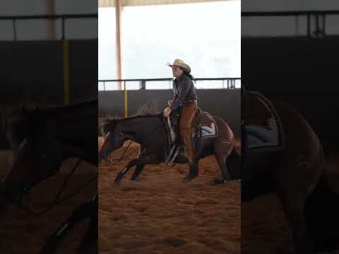 Cutting horse cowgirls tap in 😍 #cowgirl #iamcowgirl #cuttinghorsesoftiktok