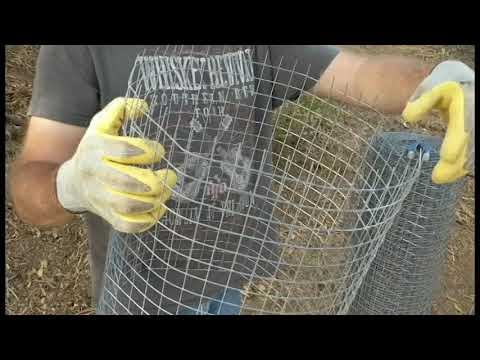 #11 DIY Plant Protector