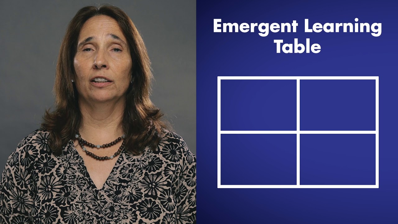 Emergent Learning Overview