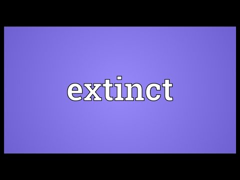 Extinct Meaning