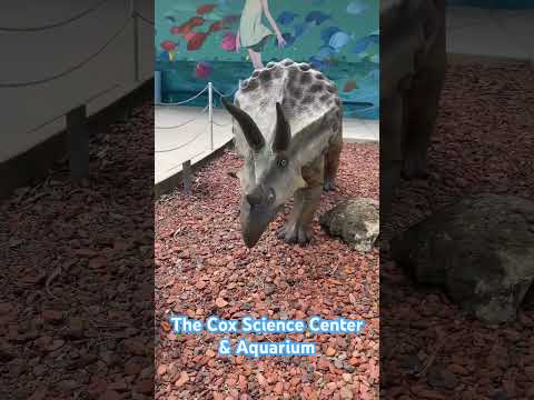 Visiting the Cox Science Center and Aquarium #palmbeachcounty