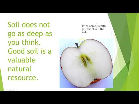 Georgia Standards of Excellence - 3rd Grade Earth Science Standards Explanation