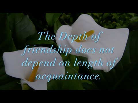 The Depth of Friendship does not Depend on Length of Acquaintance